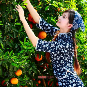 黄练勇苗木农场 