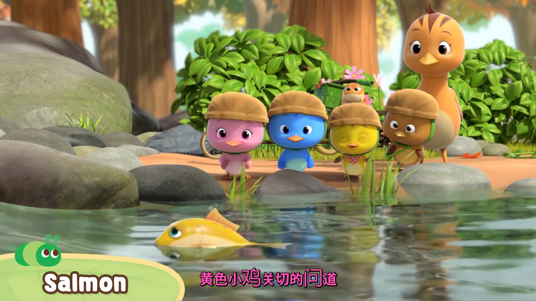 小鸡仔启蒙动画:小鱼被大石头挡住了,鸡妈妈带领宝宝们帮他回家