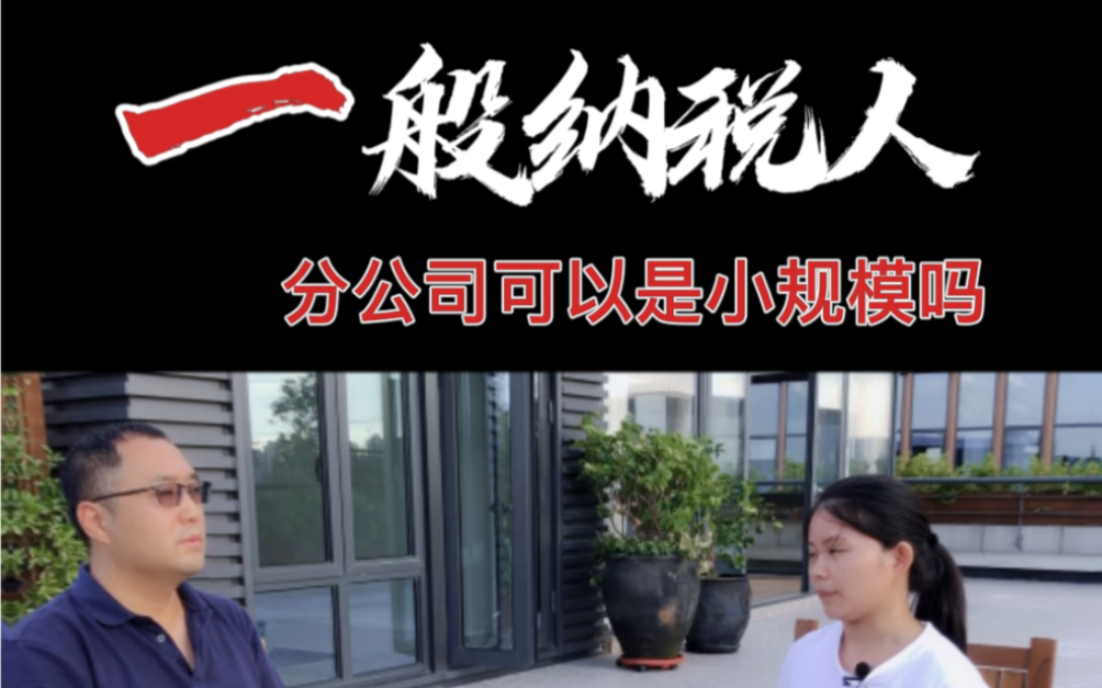 一般纳税人的总公司可以成立小规模纳税人的分公司吗?#税务筹划