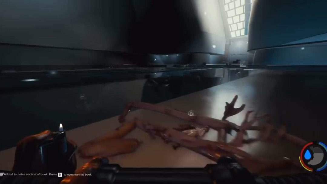 迷失森林求生:虽然我的火枪没有准星,但是爆发还是不差