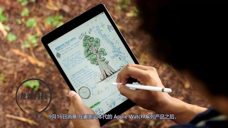 苹果 iPad 8 发布:A12 芯片梅开二度!网友:华为你怎么看?