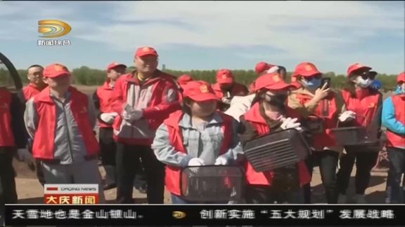 大庆市大同区“581”志愿服务模式深化主题教育效果