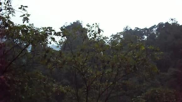 湖南张家界,张家界,美爆了,真爽啊!