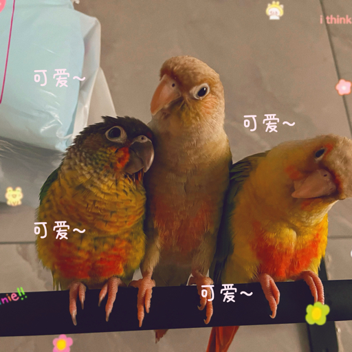 我是波波牙 