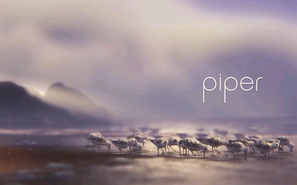 奥斯卡获奖动画短片:piper