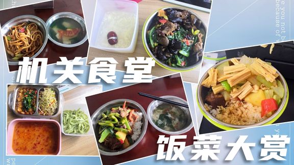 带你去吃机关食堂,荤素搭配种类多,大家觉得这伙食怎么样