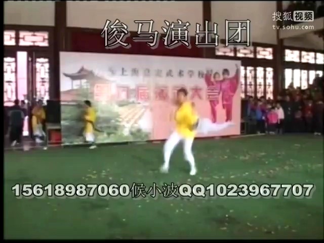 上海大型武术节目演出
