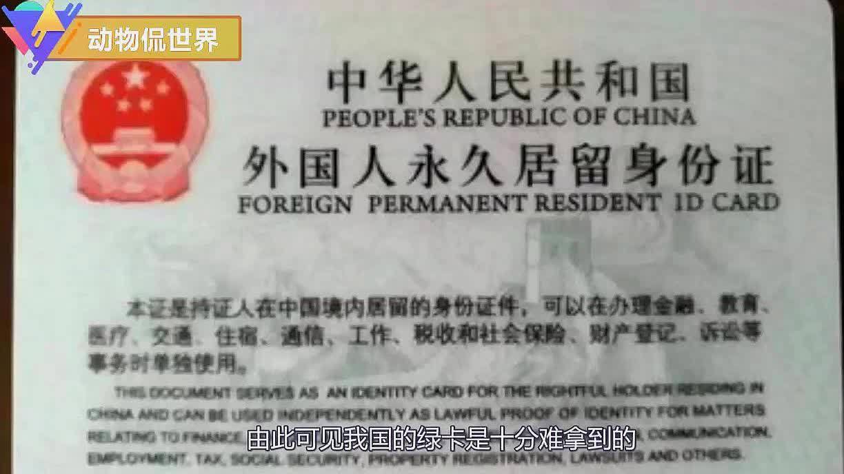 中国绿卡有多难拿,看完就知道了