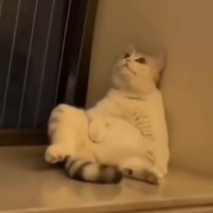 人生几时了 