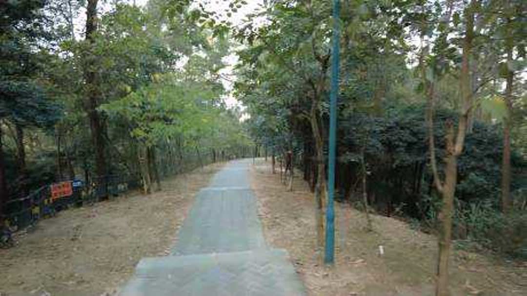 周末下午拿着大疆pocket2去逛公园,顺便检验下相机效果