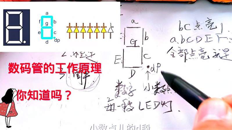 在电子电路中,数码管结构与原理,你知道吗