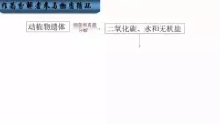 七年级_生物_细菌和真菌在生物圈中的作用_2月17日.mp4