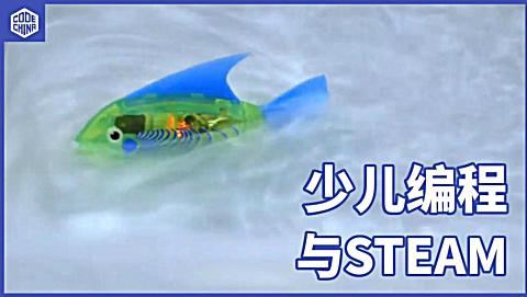少儿编程与STEAM