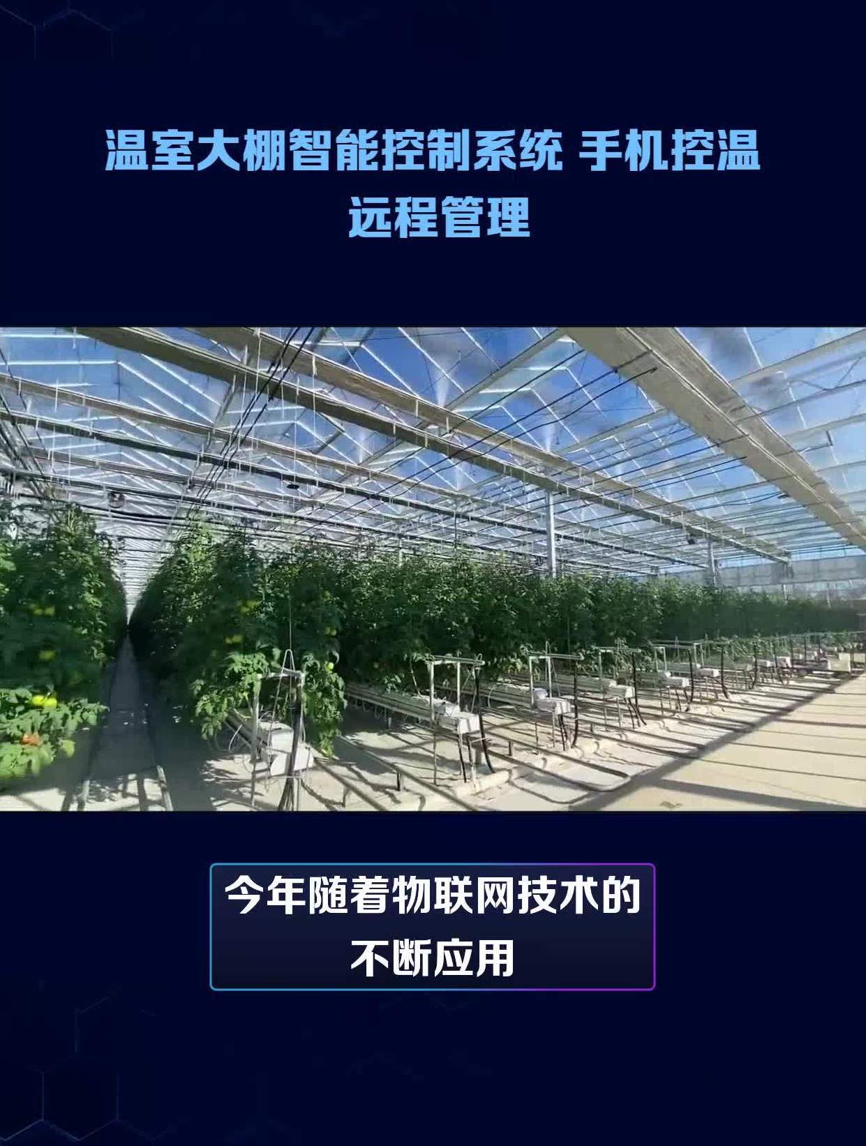 温室大棚智能控制系统 手机控温 远程...