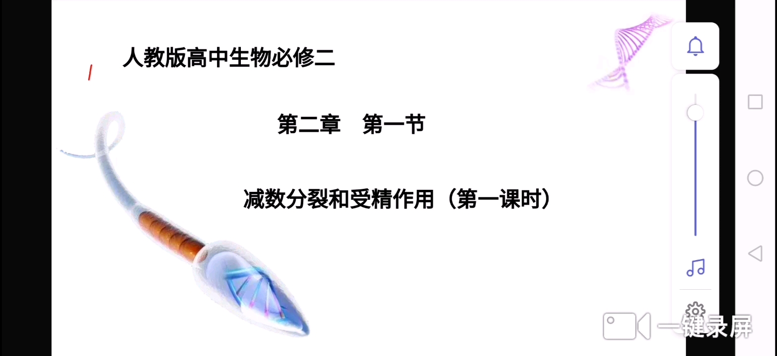 减数分裂和受精作用(第一课时)