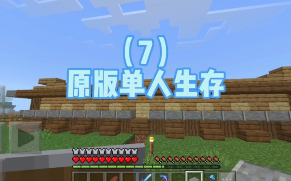 [我的世界]原版单人生存(7)