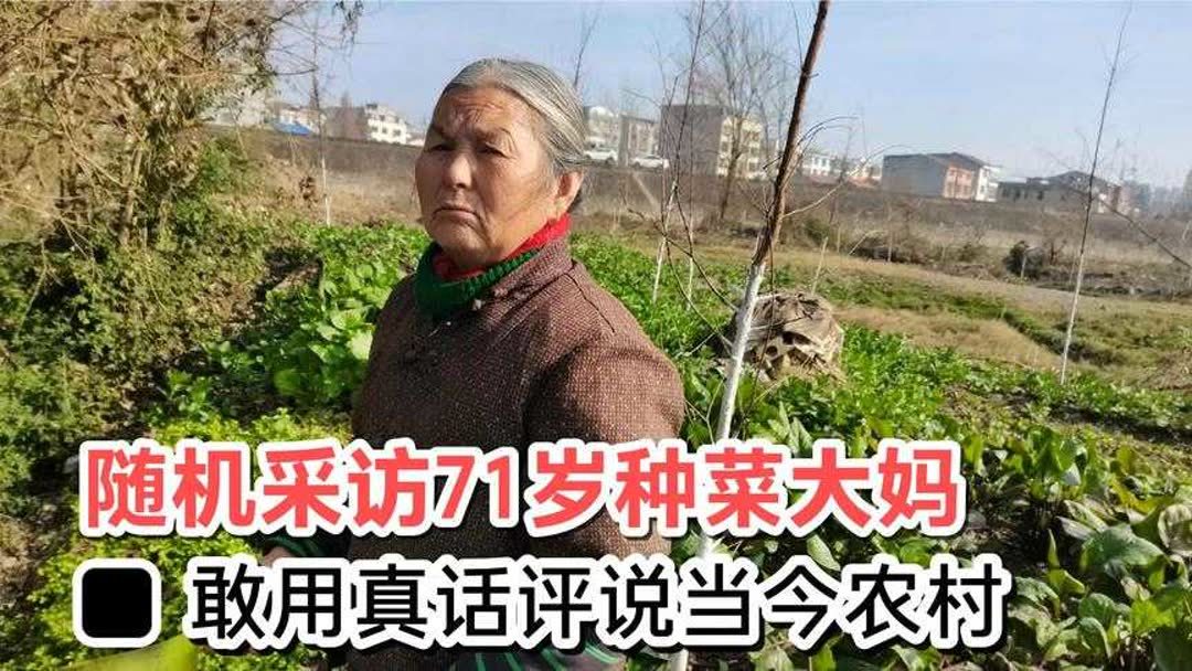 随机采访实录,鄂东乡村71岁种菜大妈,敢用真话评说当今农村
