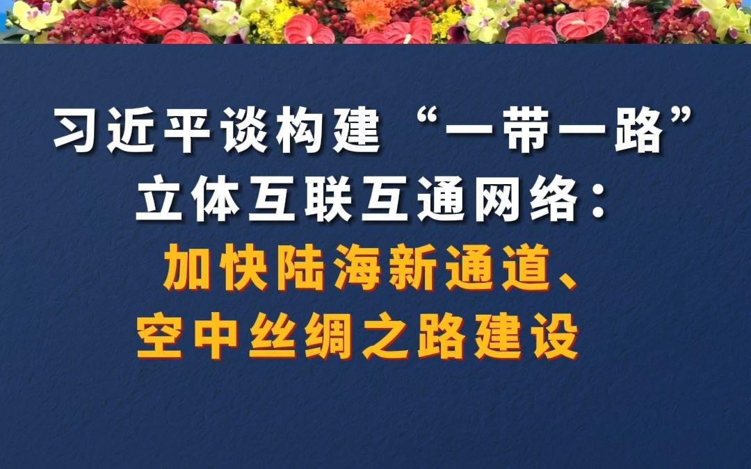 ...“一带一路”立体互联互通网络:加快陆海新通道、空中丝绸之路建设