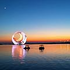 大迪190 