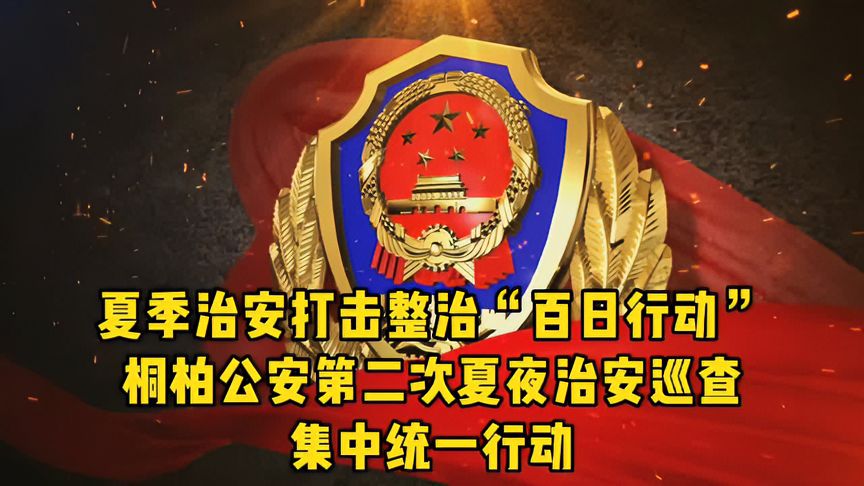 “百日行动”守护万家灯火#平安守护 #警察故事 #百日行动