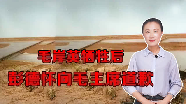 毛岸英牺牲后,彭德怀向毛主席道歉,毛主席背了几句古文