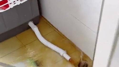 洗衣机排水管直接插在下水道里,容易返水出来,套个弯头地漏吧