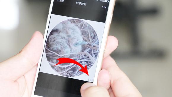 微信朋友圈的圆形视频怎么发的?用这个方法,还能去水印