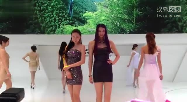 美女车模 上海车展BYD车模