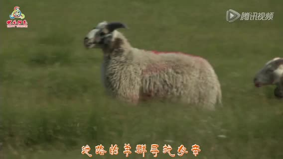 新建文件夹 (27) (1)