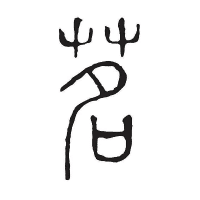 黑色00羽毛 