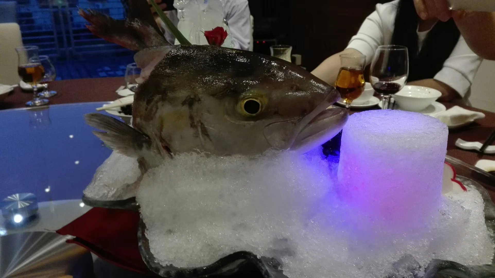 文伟的葡萄酒视界 