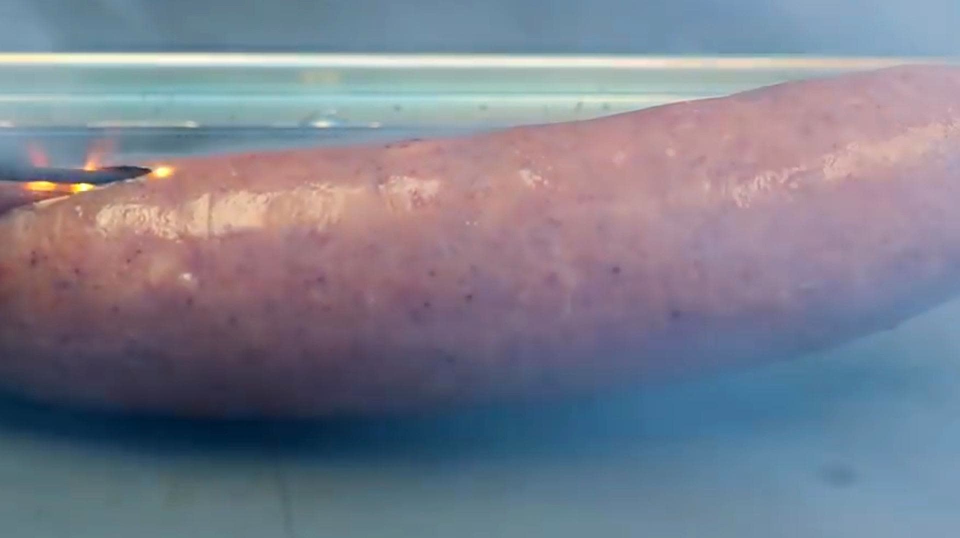 老外将高压电接通香肠,通电实验30秒后,网友:真香