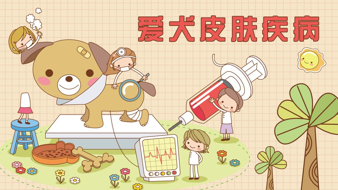 养狗必看视频,爱犬皮肤疾病常识讲解