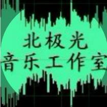 北极光刘斌 