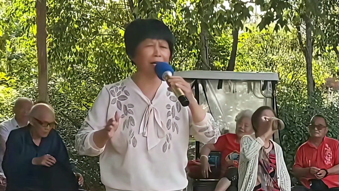 洛阳苏云萍女士演唱曲剧《四郎探母》选段,杨延辉在辽宫把娘来想