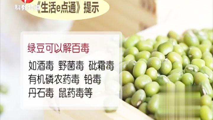 绿豆的作用不仅仅能解摆毒,还能降火消暑,夏天多喝绿豆汤