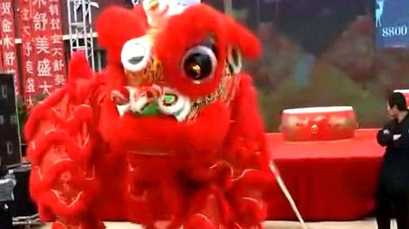 中国舞狮队在演出,这狮子舞得也太帅了,气势真够足的!