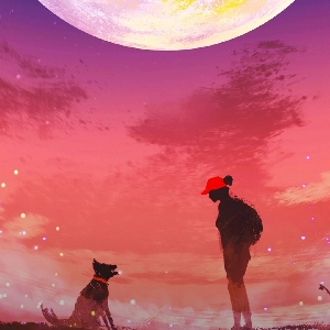 诺曼风云 