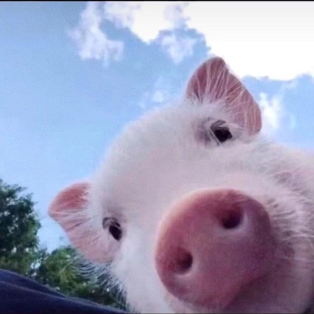 温柔可爱善良的导演 