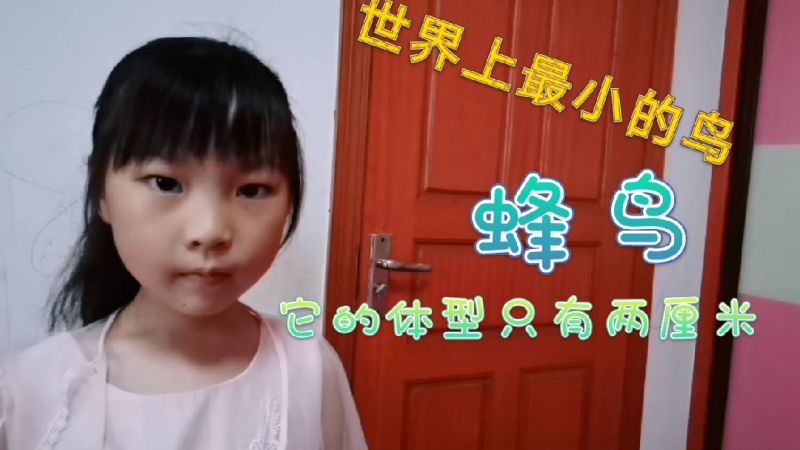 认识神奇的自然界,世界上最小的鸟蜂鸟,唯一可以向后飞行的鸟类