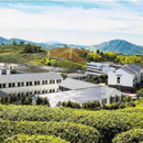 树先森影视分享 