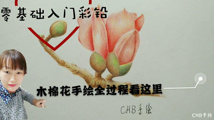 零基础彩铅入门教程:寒冷的冬天,来画一朵漂亮的木棉花吧
