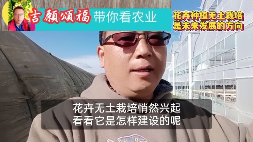 农业现代化不在是梦,花卉无土栽培悄然兴起,这会是终极模式吗