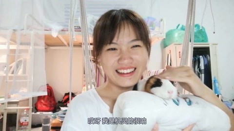 女大学生养宠物的日常,用舍友卫生巾当尿垫使,我服了