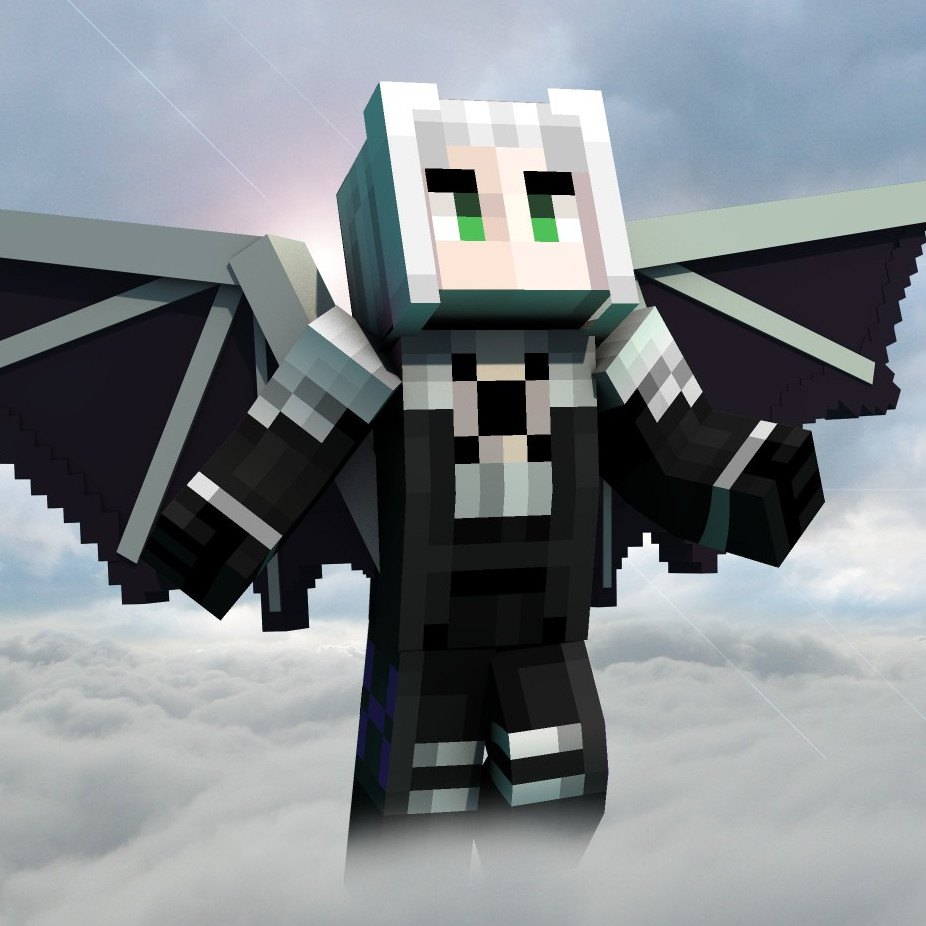 贪玩的小毅本人 