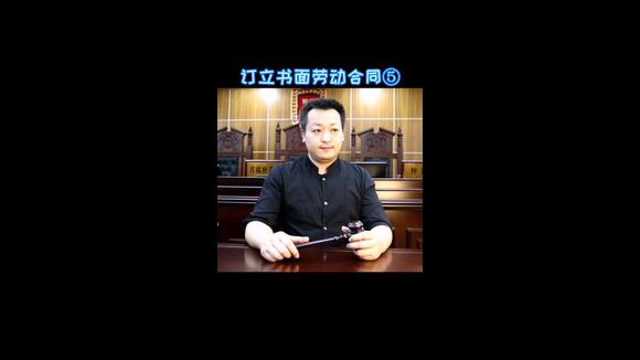 劳动合同无效确认之诉