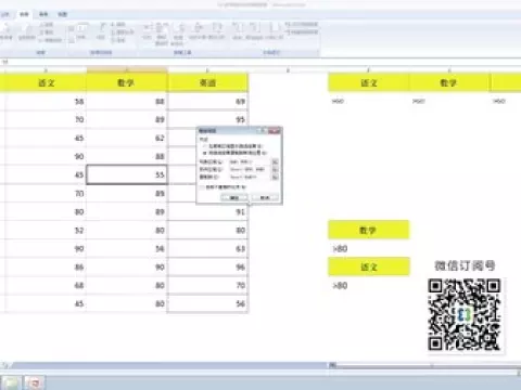 excel2007教程24.运用高级筛选精选数据