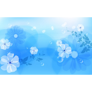 未央柳1233 