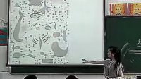 抽象画中的点与线的魅力 初中美术优质课课堂教学实录
