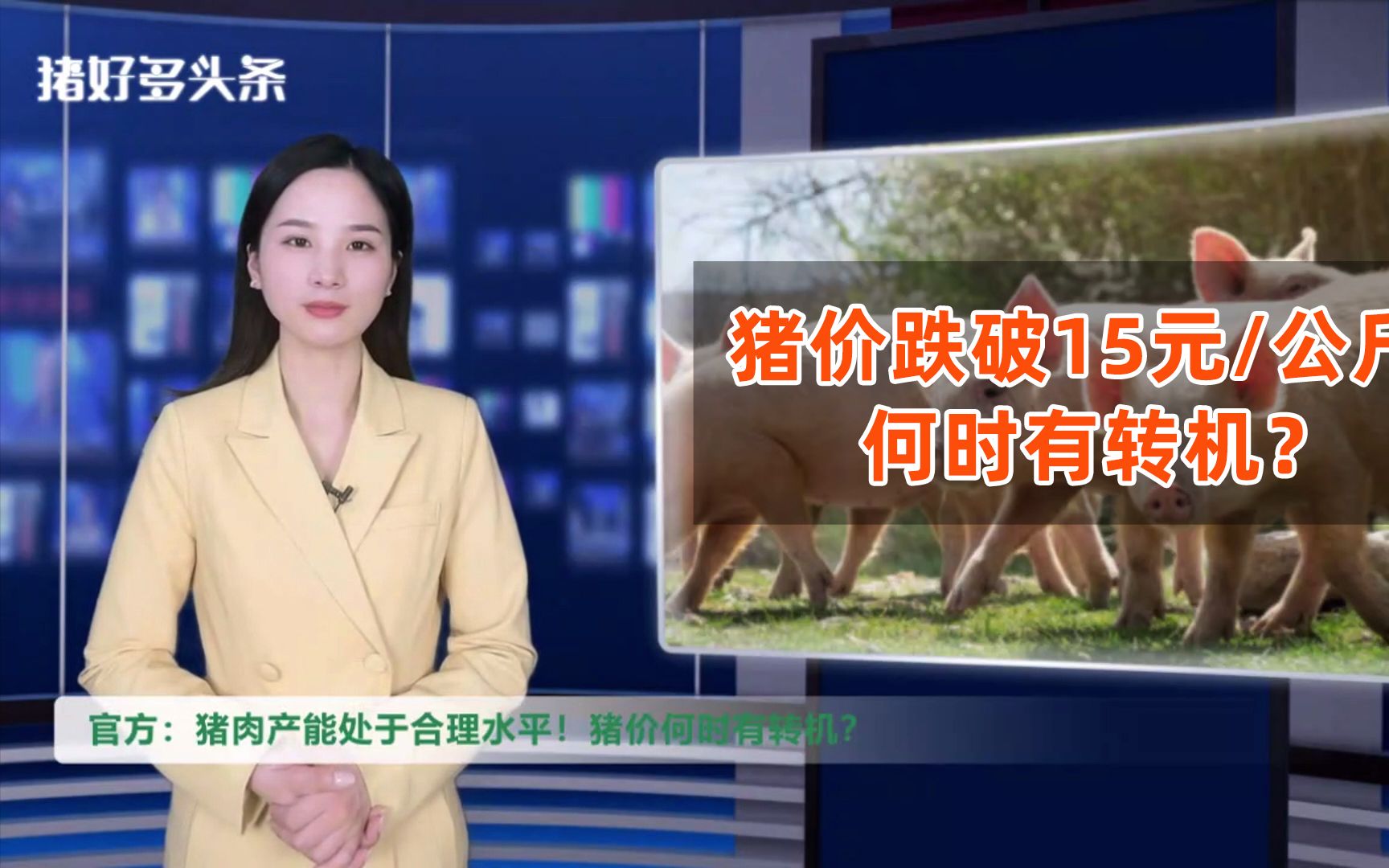 官方:猪肉产能处于合理水平!猪价跌破15元/公斤,何时有转机?